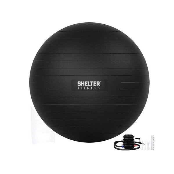 Shelter Fitness - Heavy Duty Stability Ball - Military & First ...